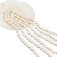 1 Set 5 Strands Natural Cultured Freshwater Pearl Beads Strands Rice ...