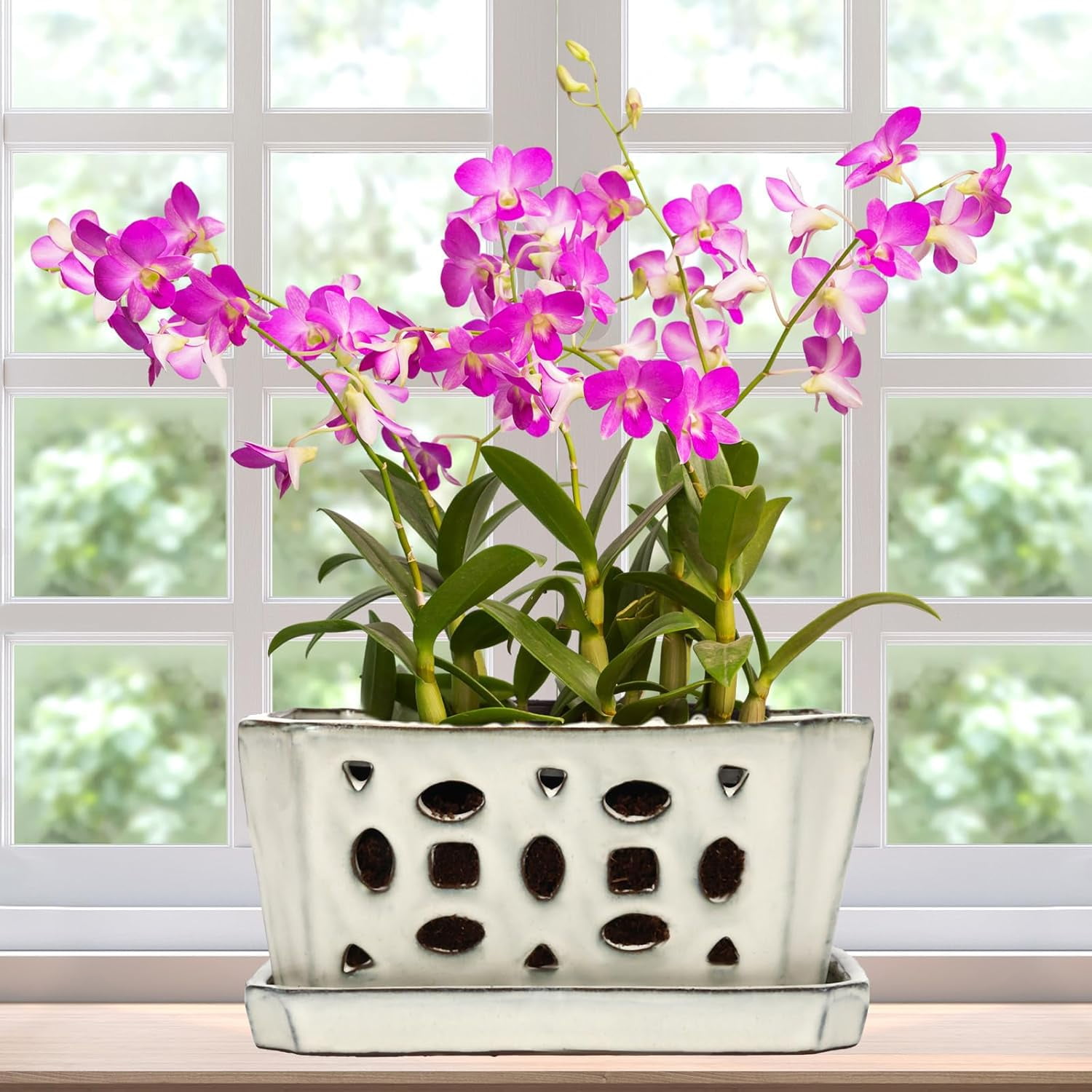 1 Set 9.5 Inch Orchid Pot with Holes and Saucers Ceramic Orchid Pot ...