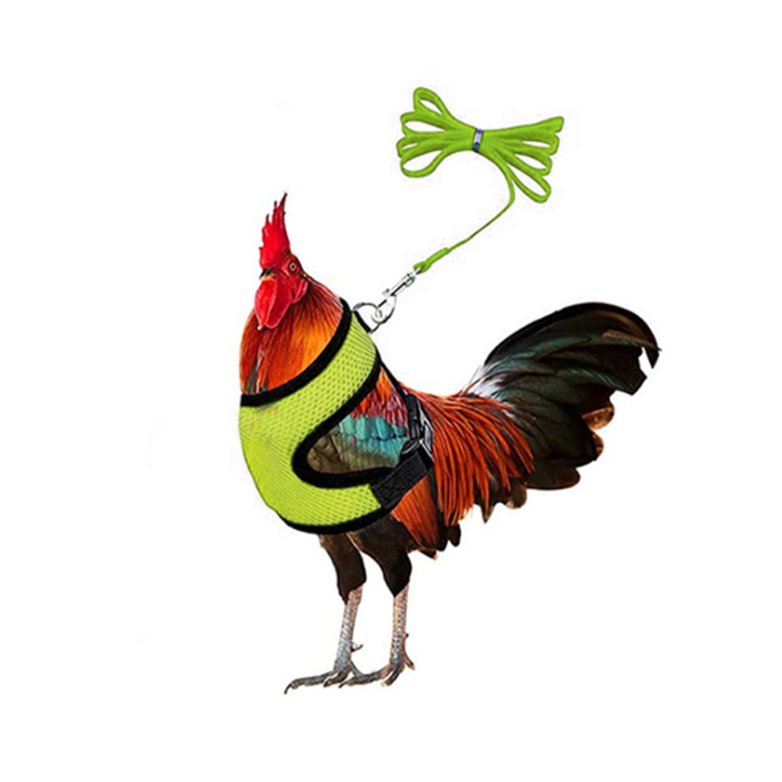 1 Set Adjustable Chicken Harness and Leash for Hen Roosters Comfortable ...
