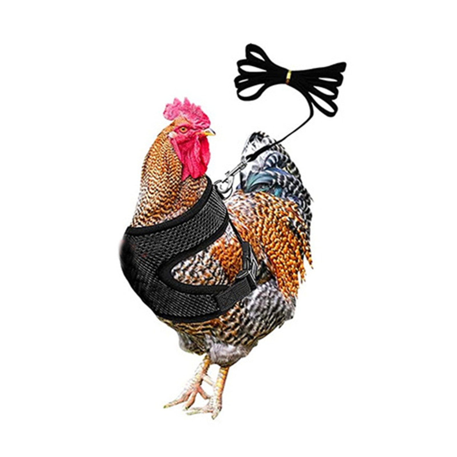 1 Set Chicken Harness with Leash Breathable Adjustable Chicken Duck ...