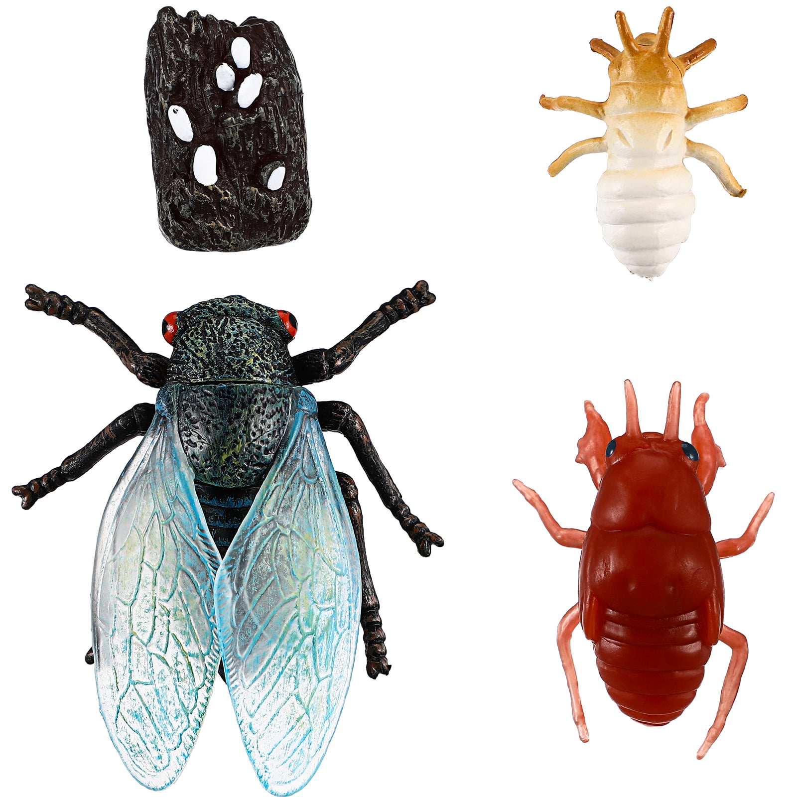 1 Set Cicada Life Cycle Figurines Simulation Cicada Animal Figurines ...
