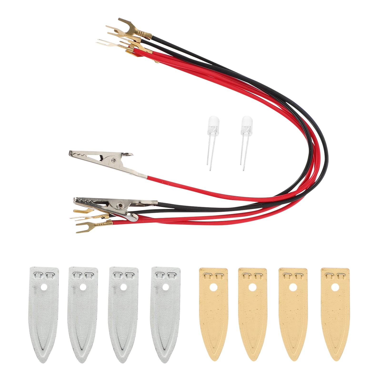 1 Set DIY Fruit Battery Science Experiment Educational Fruit Battery ...