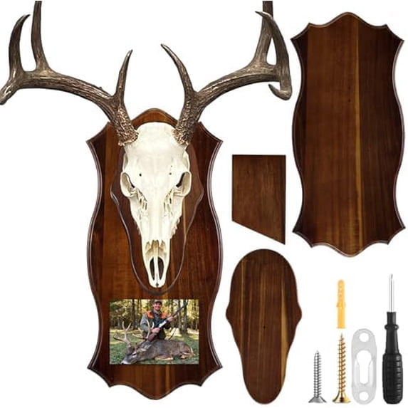 1 Set Deer Skull Mount Plaques Acacia European Mount Hanger with ...