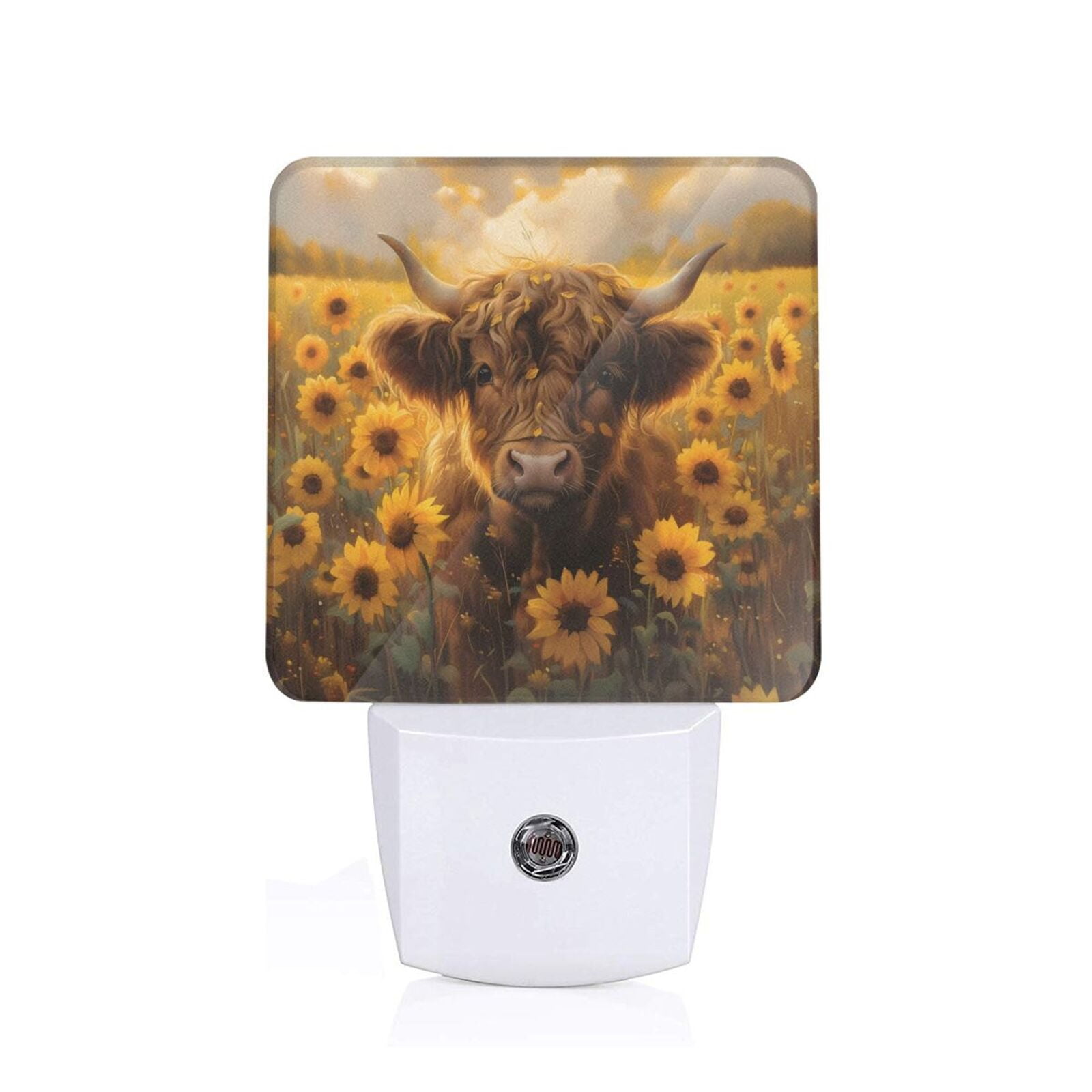 1 Set Drill Bits Set Straight Hole Hand Drill Walnut Drilling Tool ...