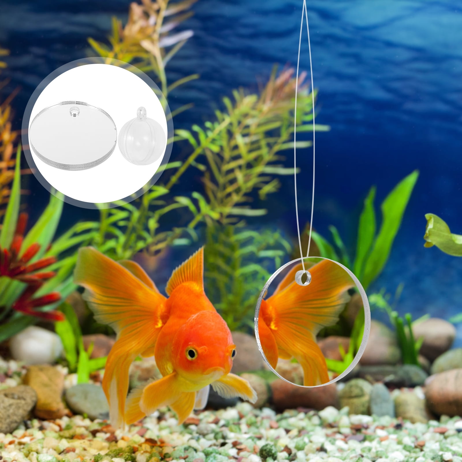 1 Set Fish Training Mirror Betta Fish Mirror Fish Tank Mirror Aquarium ...