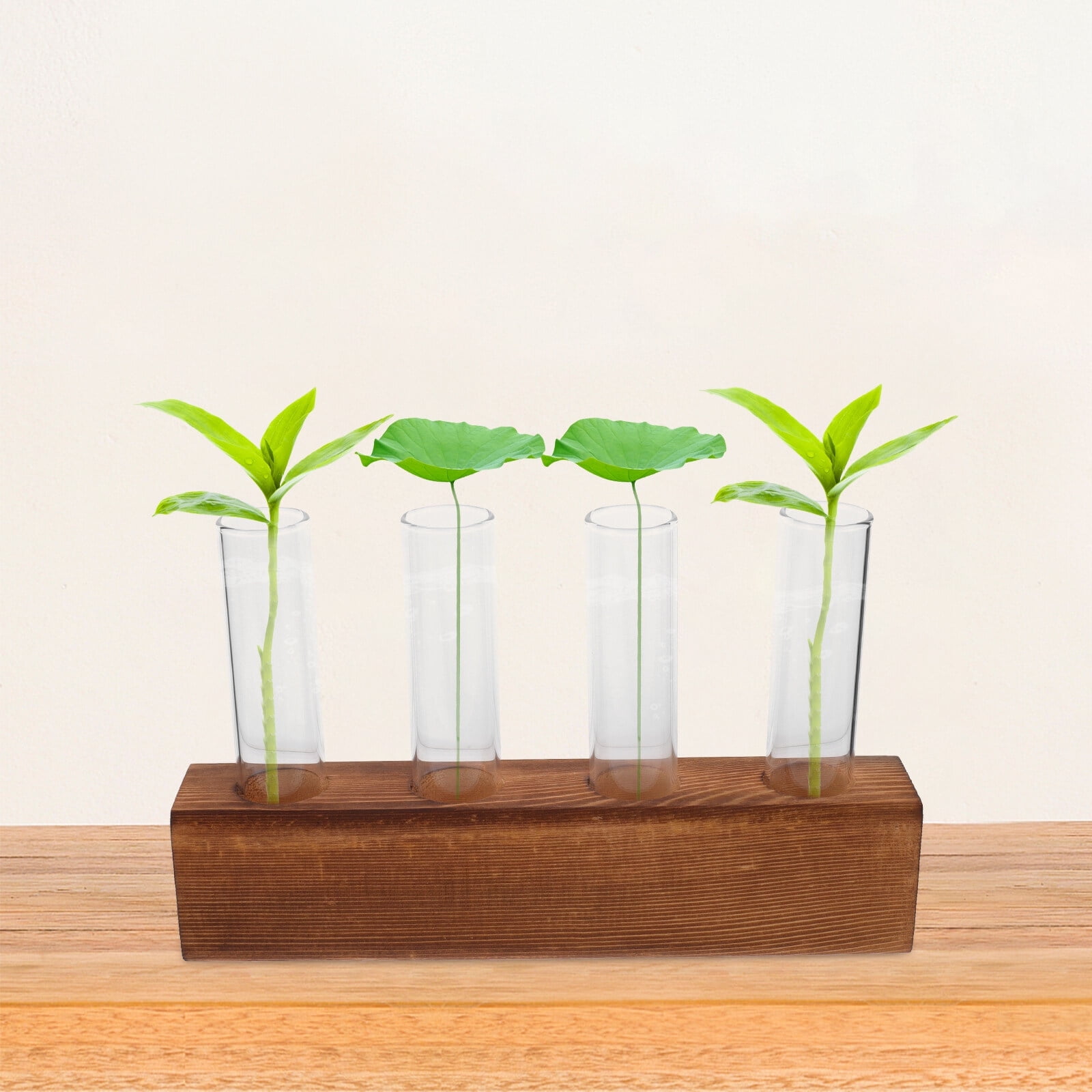 1 Set Glass Bud Vases with Wooden Stand Plant Propagation Station ...