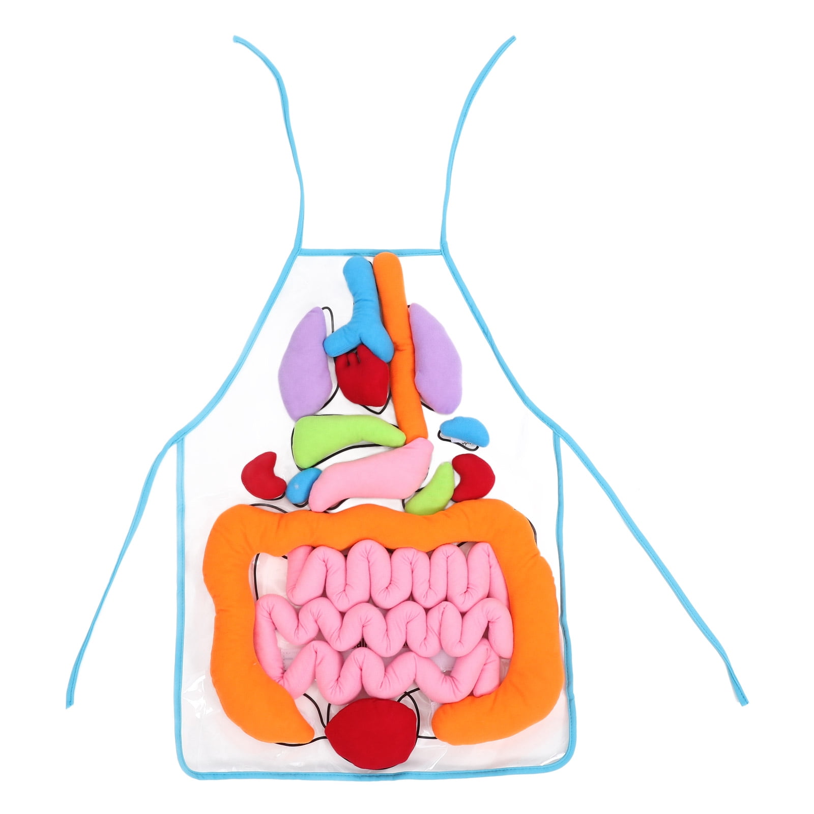 1 Set Human Body Organs Cognitive Toy 3D Body Organs Apron Educational ...