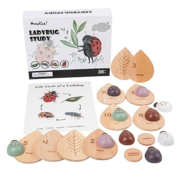 Yellow Door Ladybugs Counting Set, Pack of 22 - Walmart.com