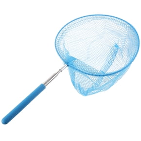 Butterfly Net