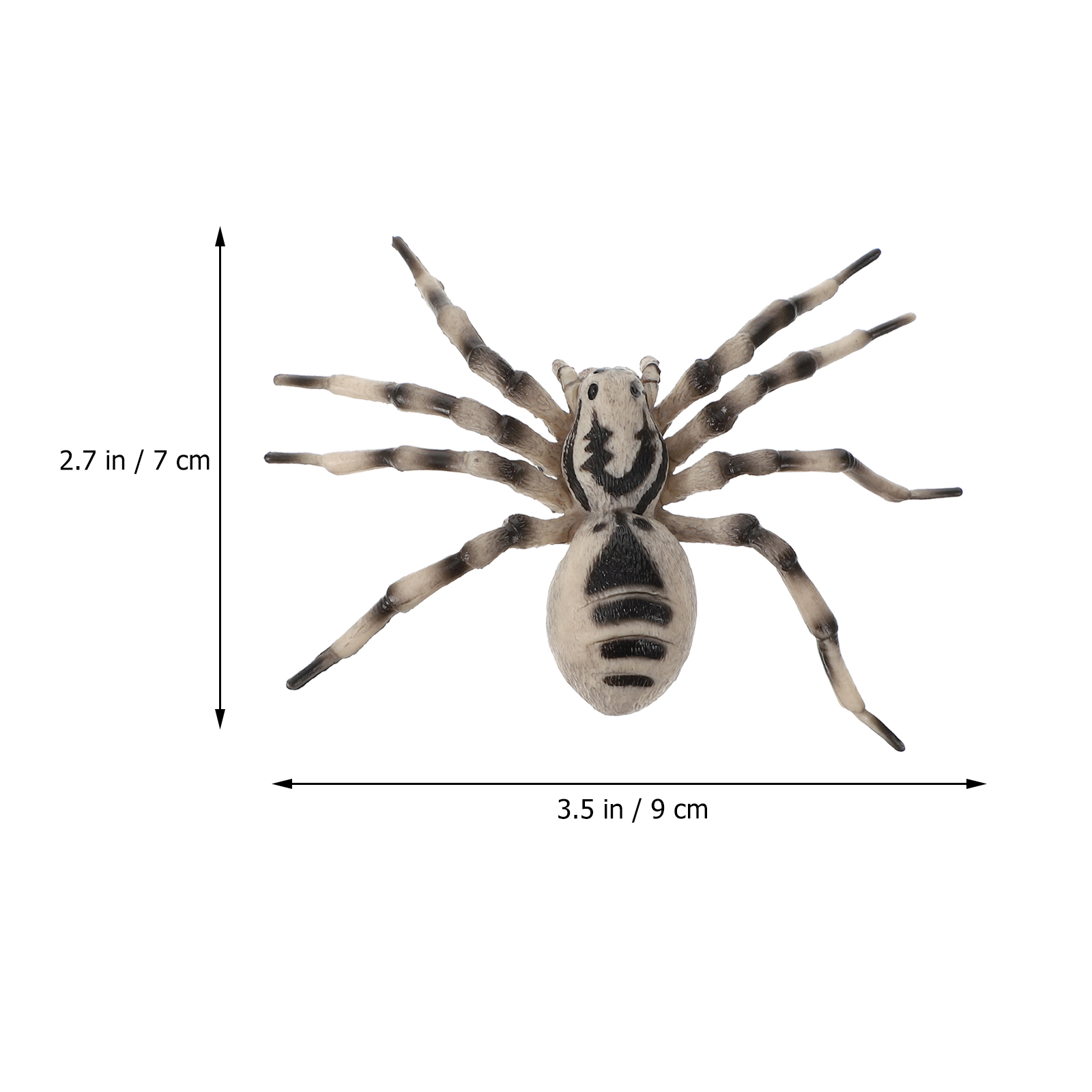 1 Set Plastic Simulation Insect Model Tarantula Growth Cycle Miniature ...