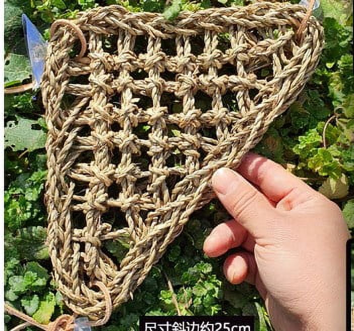 1 Set Reptile Hammock Bearded Dragon Rest Place Habitats Supplies ...