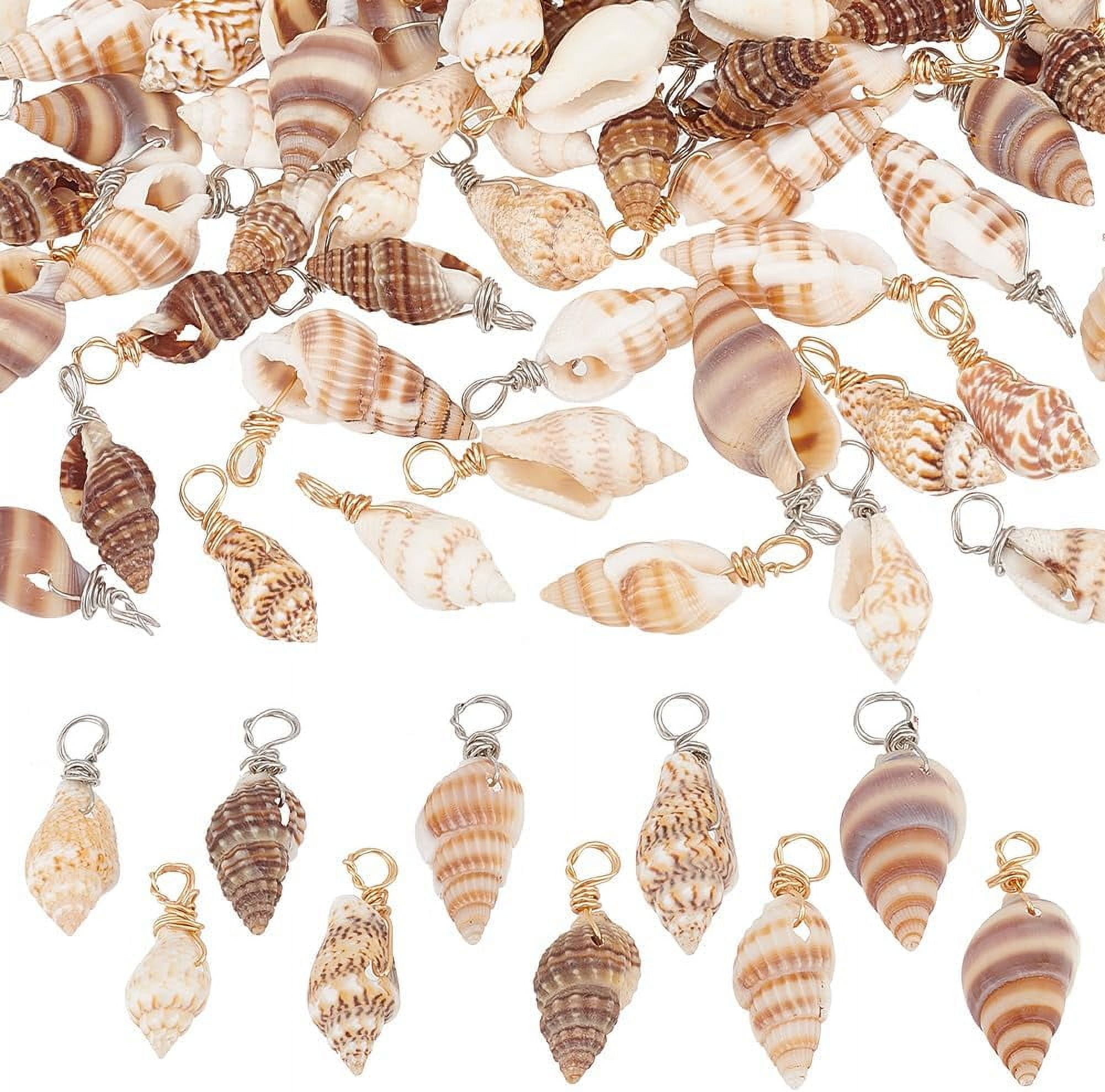 1 Set Shell Pendants Spiral Seashells Craft Charms Cowrie Sea Shells ...