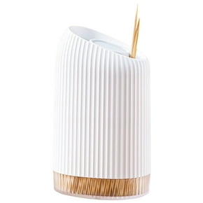 Shop Stylish Toothpick Holders for Home Dining and Kitchen Use