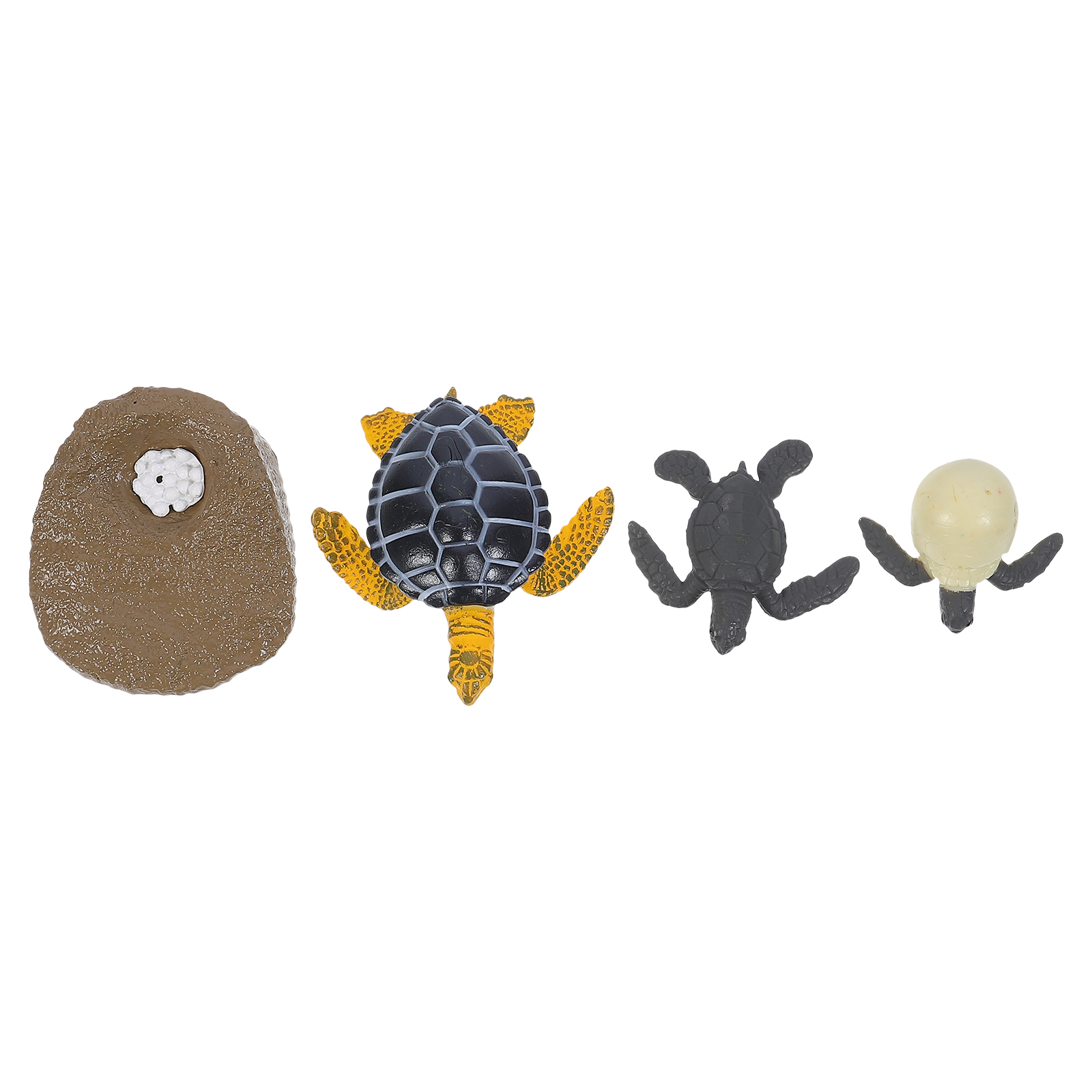 1 Set Turtle Life Cycle Models Animal Life Cycle Model Kid educational ...