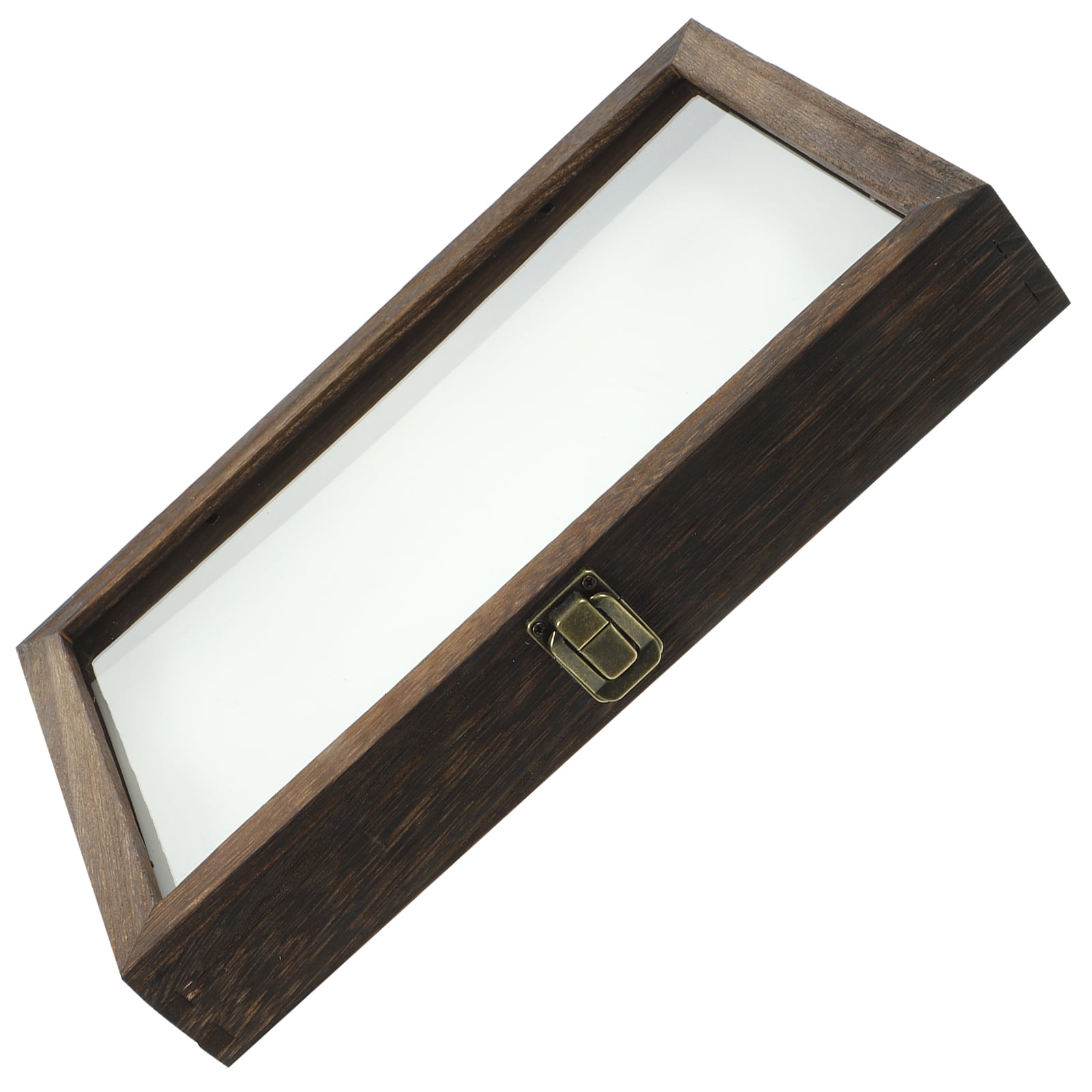 1 Set Vintage Specimen Display Case Plant Specimen Box Specimen ...