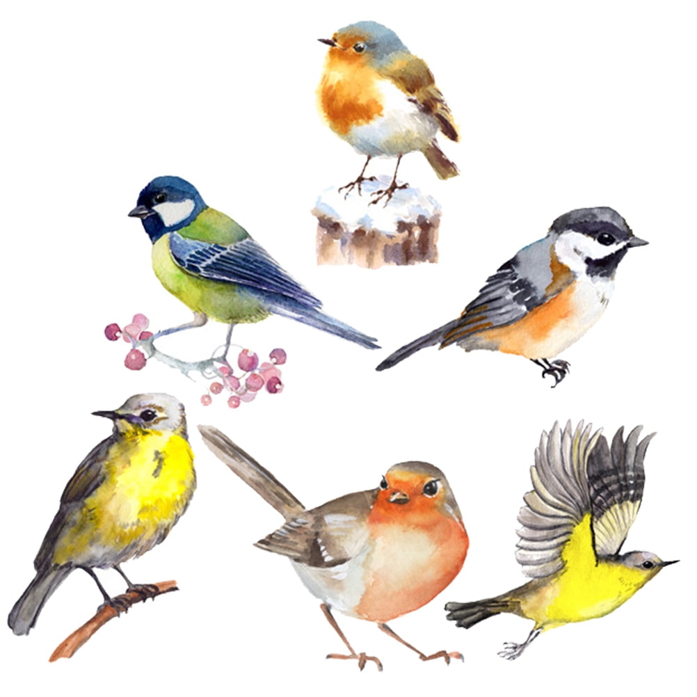 1 Set of Anti-Collision Static Cling Window Cling Indoor Preventing ...