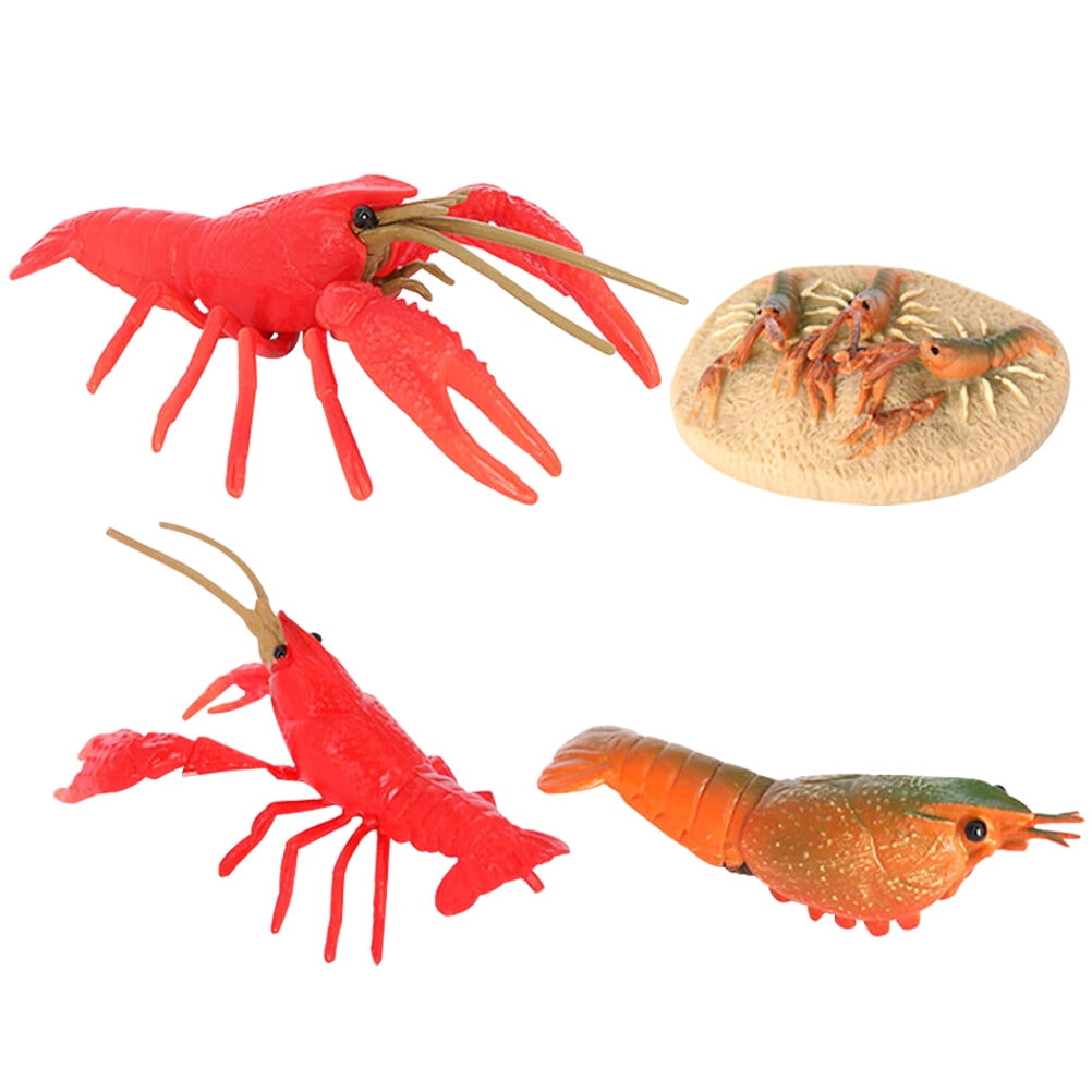 1 Set of Crayfish Growing Cycle Toys Simulated Crayfish Models ...