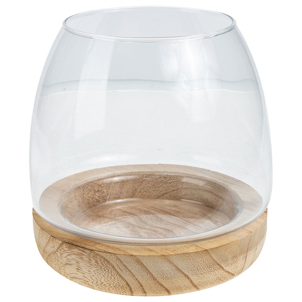 1 Set of Decorative Glass Planter Fish Bowls for Betta Fish Hydroponic ...