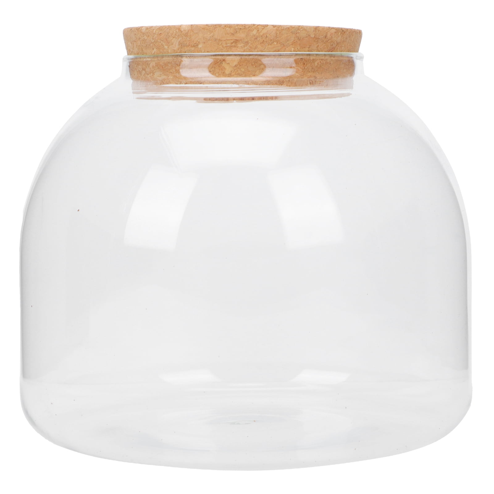 1 Set of Glass Terrarium Container DIY Ecological Plant Bottle Glass ...