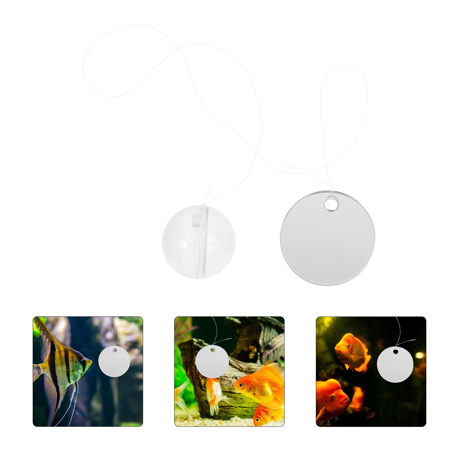 1 Set of Professional Fish Training Mirror Betta Fish Mirror Fish Tank ...