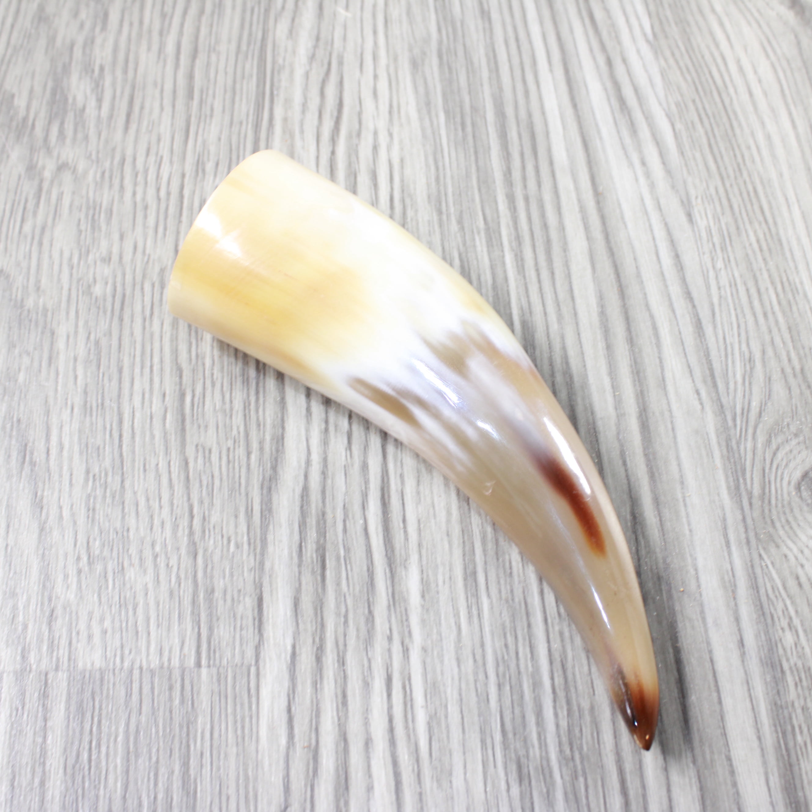 1 Small Polished Cow Horn #2855 Natural Colored - Walmart.com