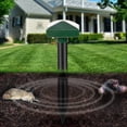 #1 Solar-Powered Mole, Vole, Gopher & Groundhog Repellent - Ultrasonic ...