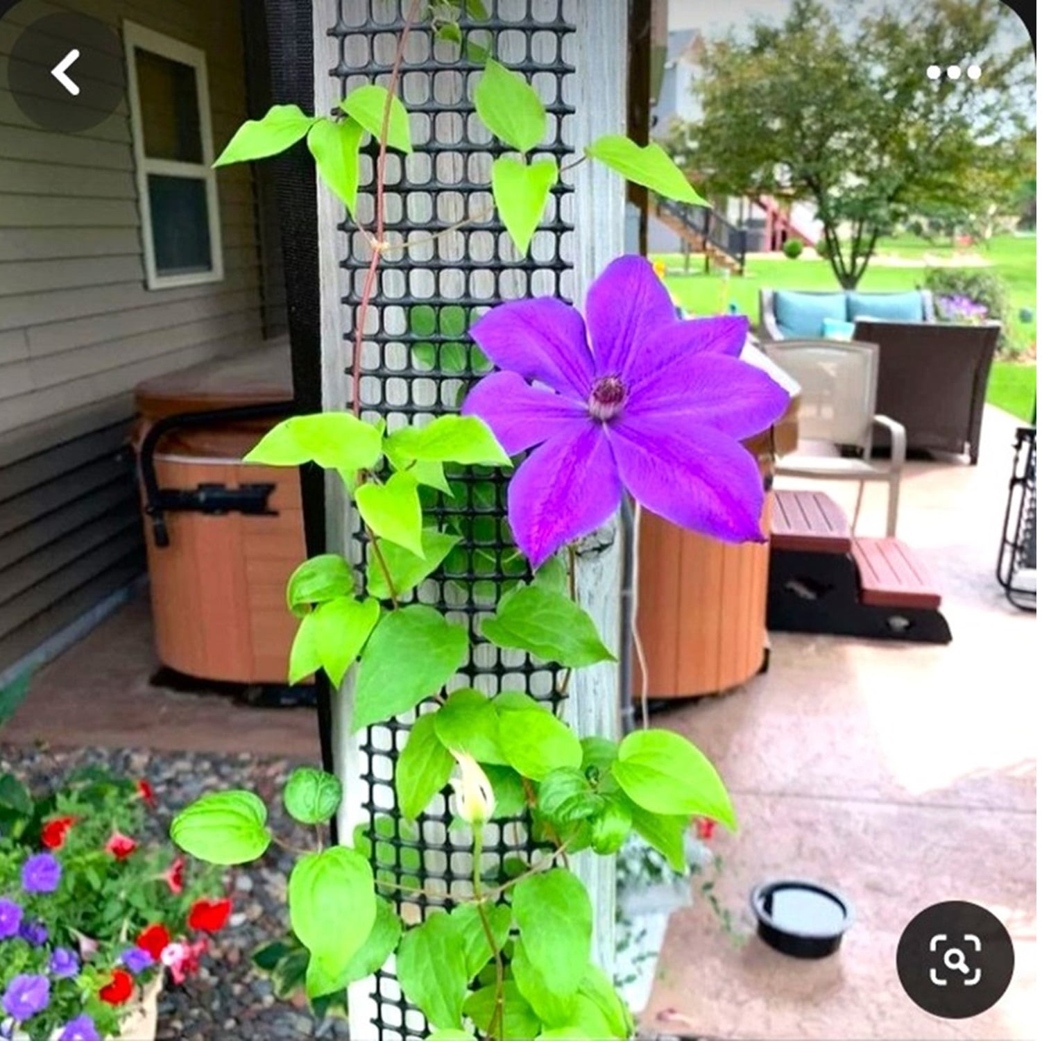 (1 Unit Pack) Scroll Trellis Garden Trellis a Black Lattice Plant ...