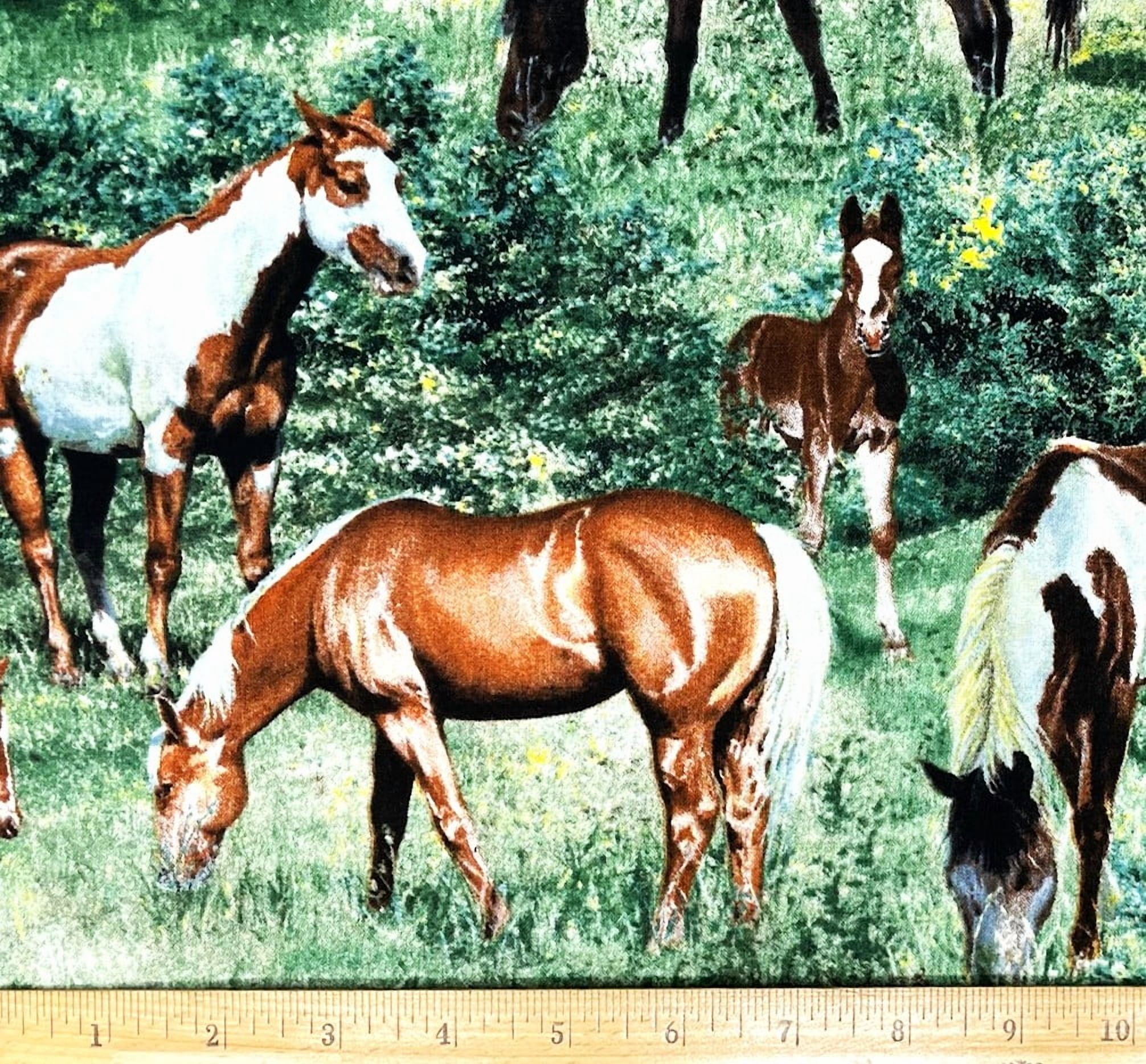 1 Yard - Horses & Ponies Horse & Pony on Scenic Cotton Fabric (Great ...