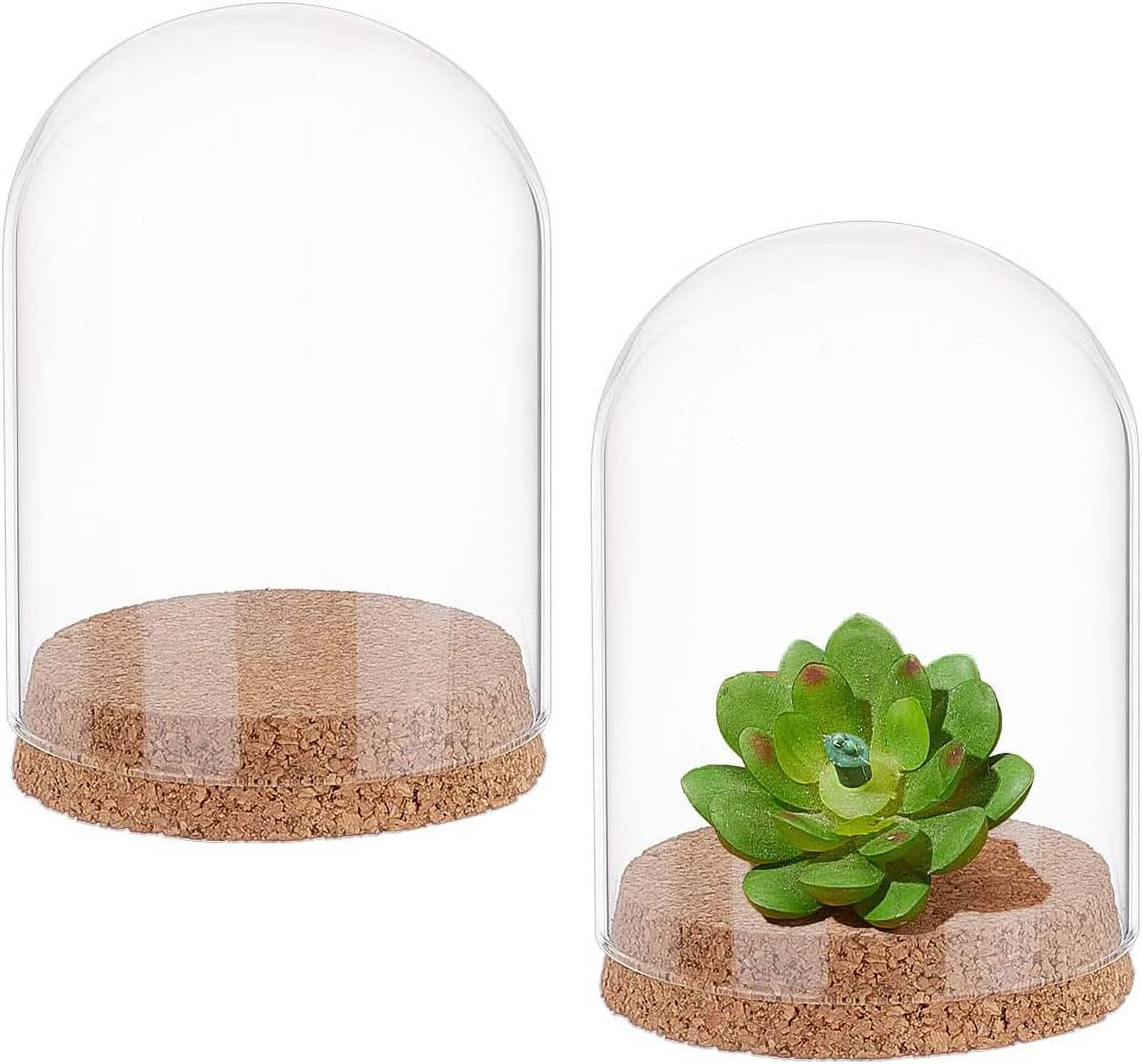 1 bag 2 sets Glass Dome with Cork Base 4.72x3.54 Eternal Flower Glass Display Dome Cloche Half ...