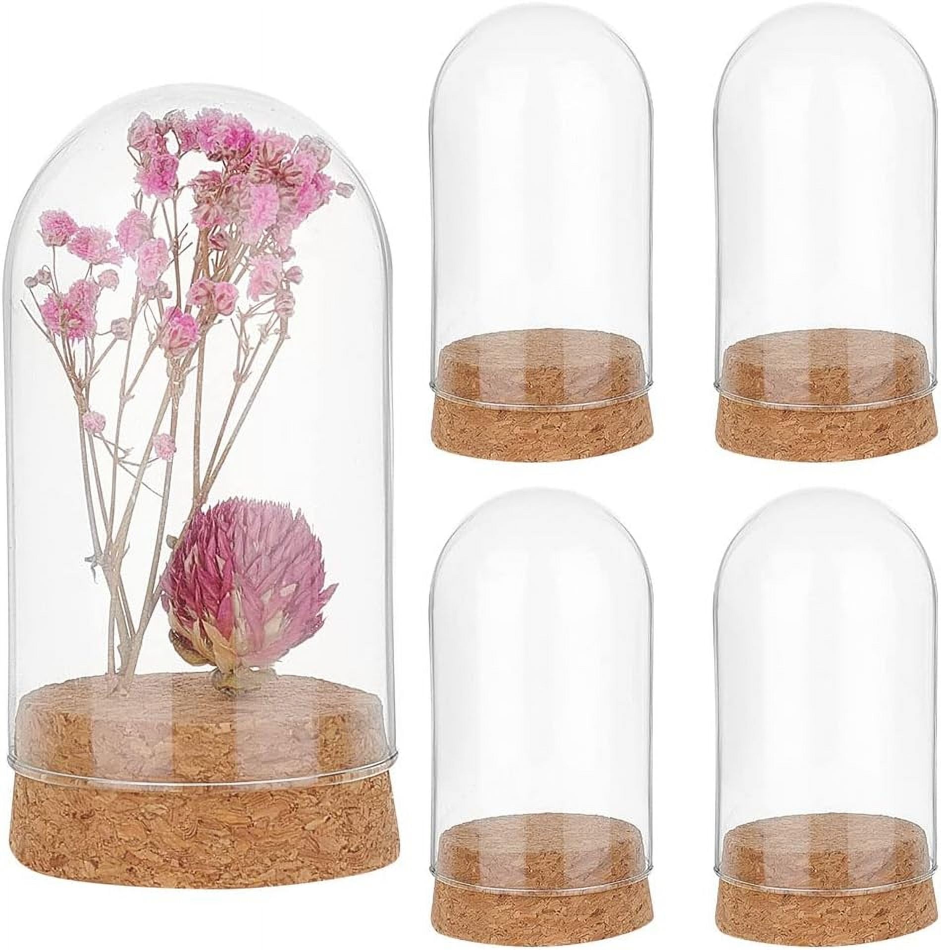 1 bag 4pcs Glass Display Dome Cloche Glass Bell Jar with Cork Base ...