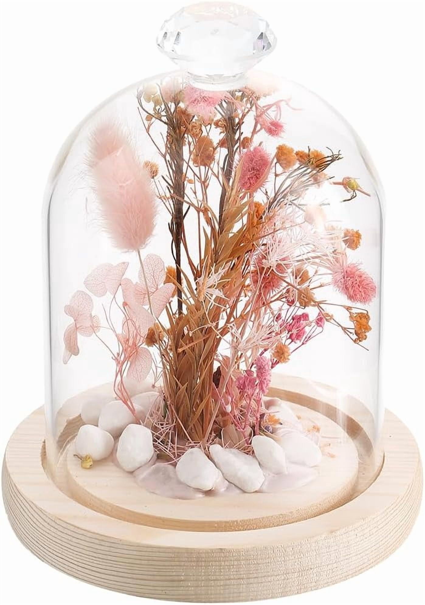 1 bag Glass Bell Jar Cover 113x143mm Glass Bell Jar Diamond Glass Domes ...