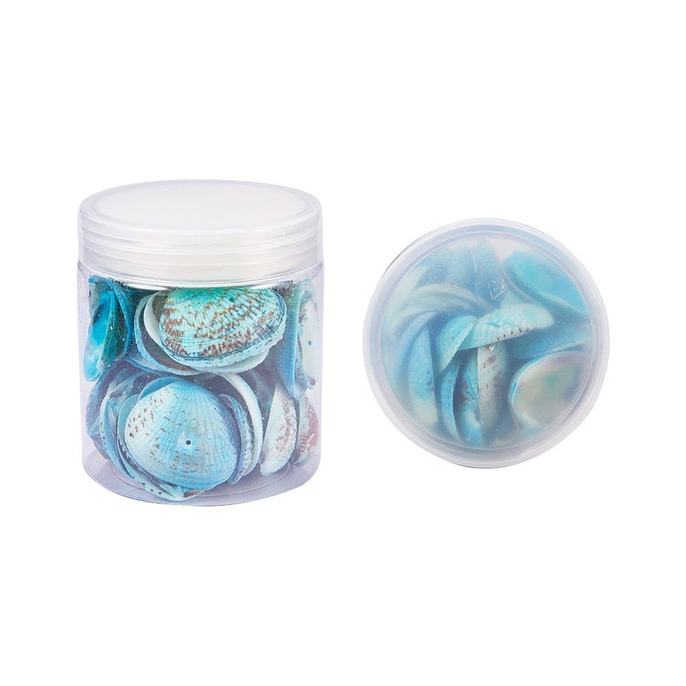 1 box Dyed Natural Shell Beads Aqua 32~37x20~29x8~10mm Hole: 1mm 30 ...