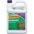 1 gal Crabgrass & Broadleaf Weed Killer - Walmart.com