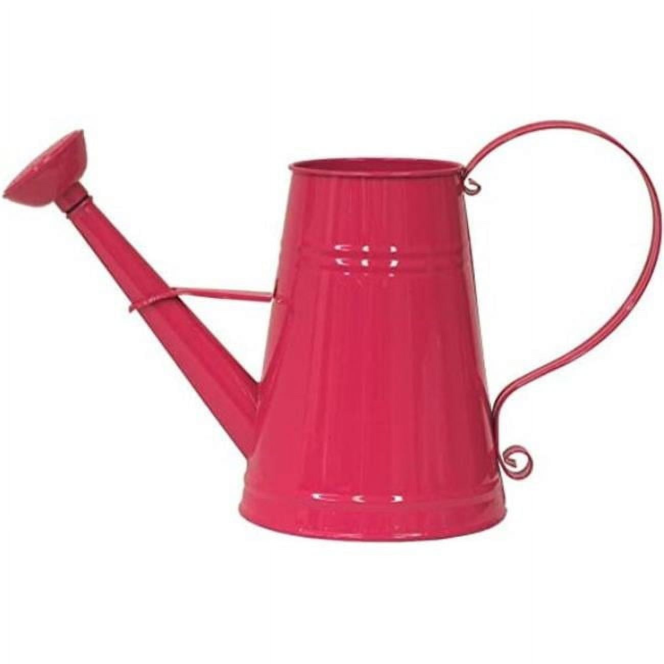1 gal Enameled Galvanized Steel Watering Can with Removable Rosette ...