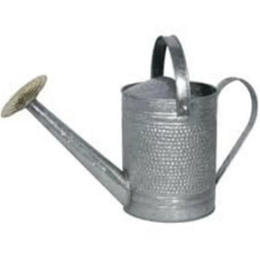 Galvanized Watering Can