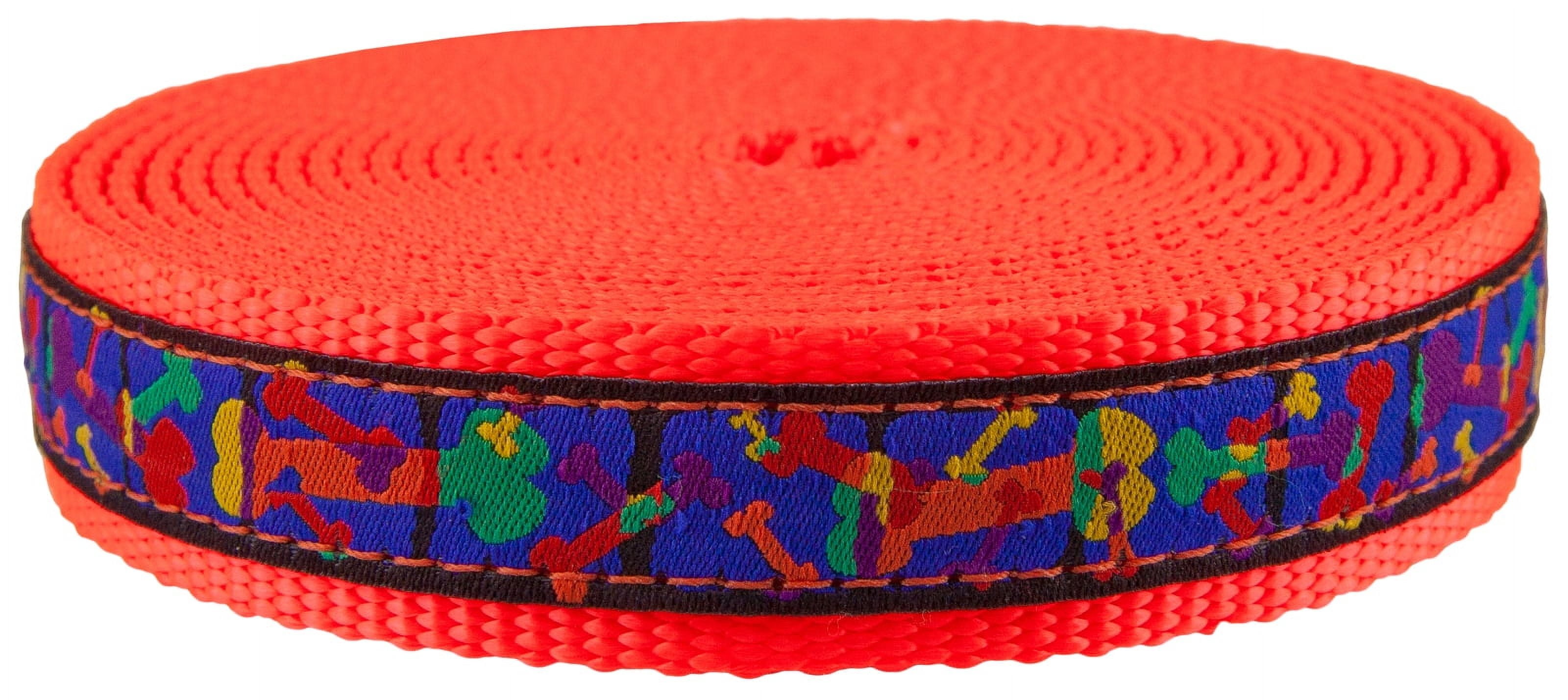 1 inch Multi-Colored Bones Ribbon on Neon Orange Nylon Webbing Closeout ...