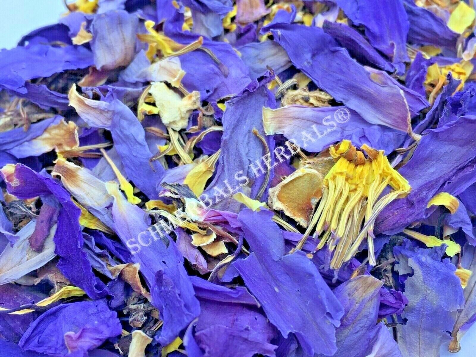 1 kg All Natural Blue Lotus, N. caerulea, Deep Purple Thai ...