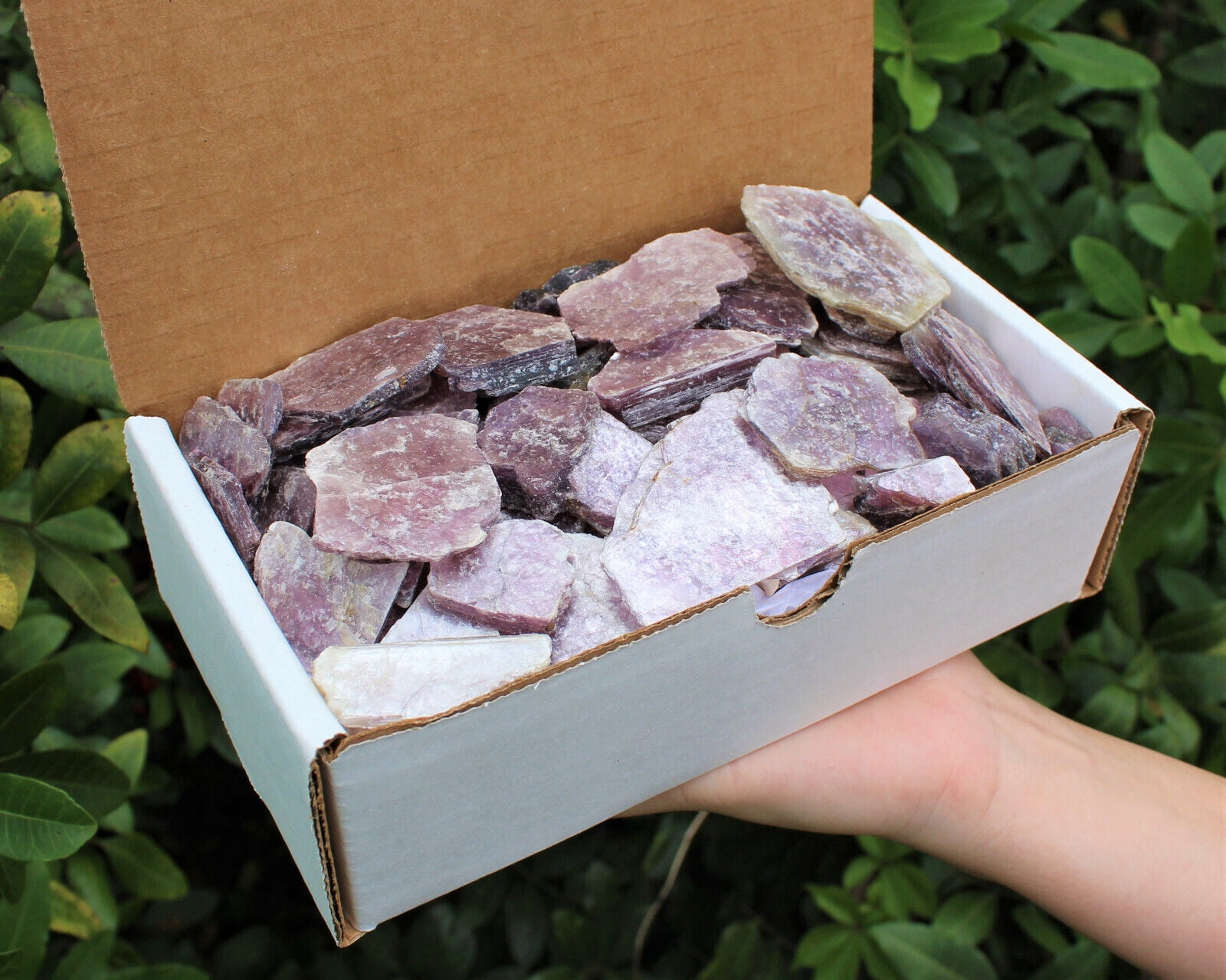 1 lb Lepidolite Leaves / Slabs Collection in Box, Layered Mica Crystal ...