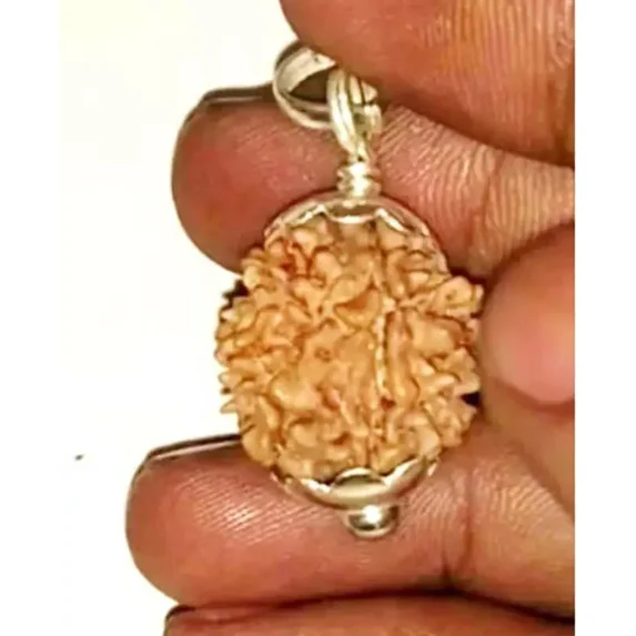1 mukhi Nepal Rudraksha One Face Nepal Origin Rudraksha Round Bead ...