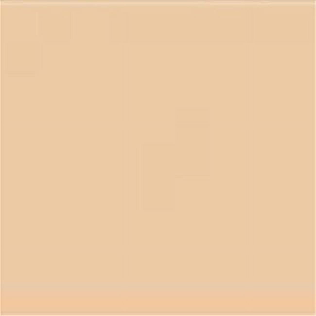 1 oz Acrylic Model Paint Bottle, LRDG Desert Pink - Walmart.com
