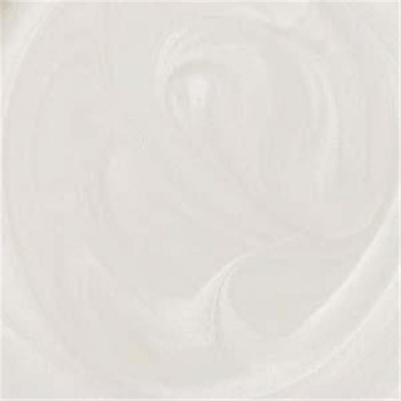 1 oz Acrylic Model Paint Bottle, Pearl Starship White - Walmart.com