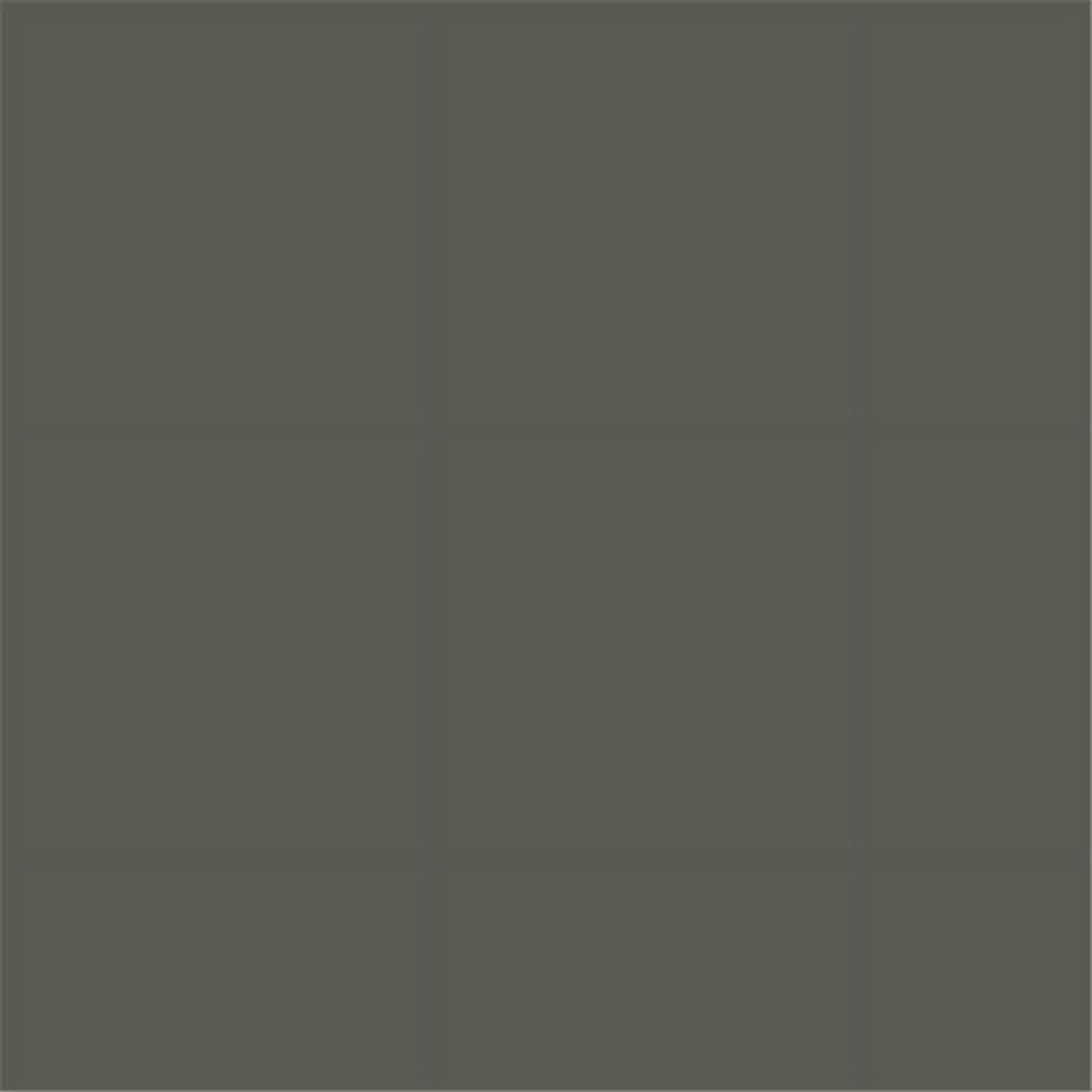 1 oz Acrylic Model Paint Bottle, Schwarzgrun RLM 66 - Walmart.com