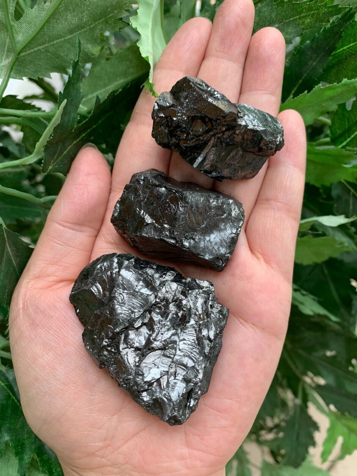 1 oz Elite Noble Shungite – Raw Natural Crystal Stones (1-2.25") for ...