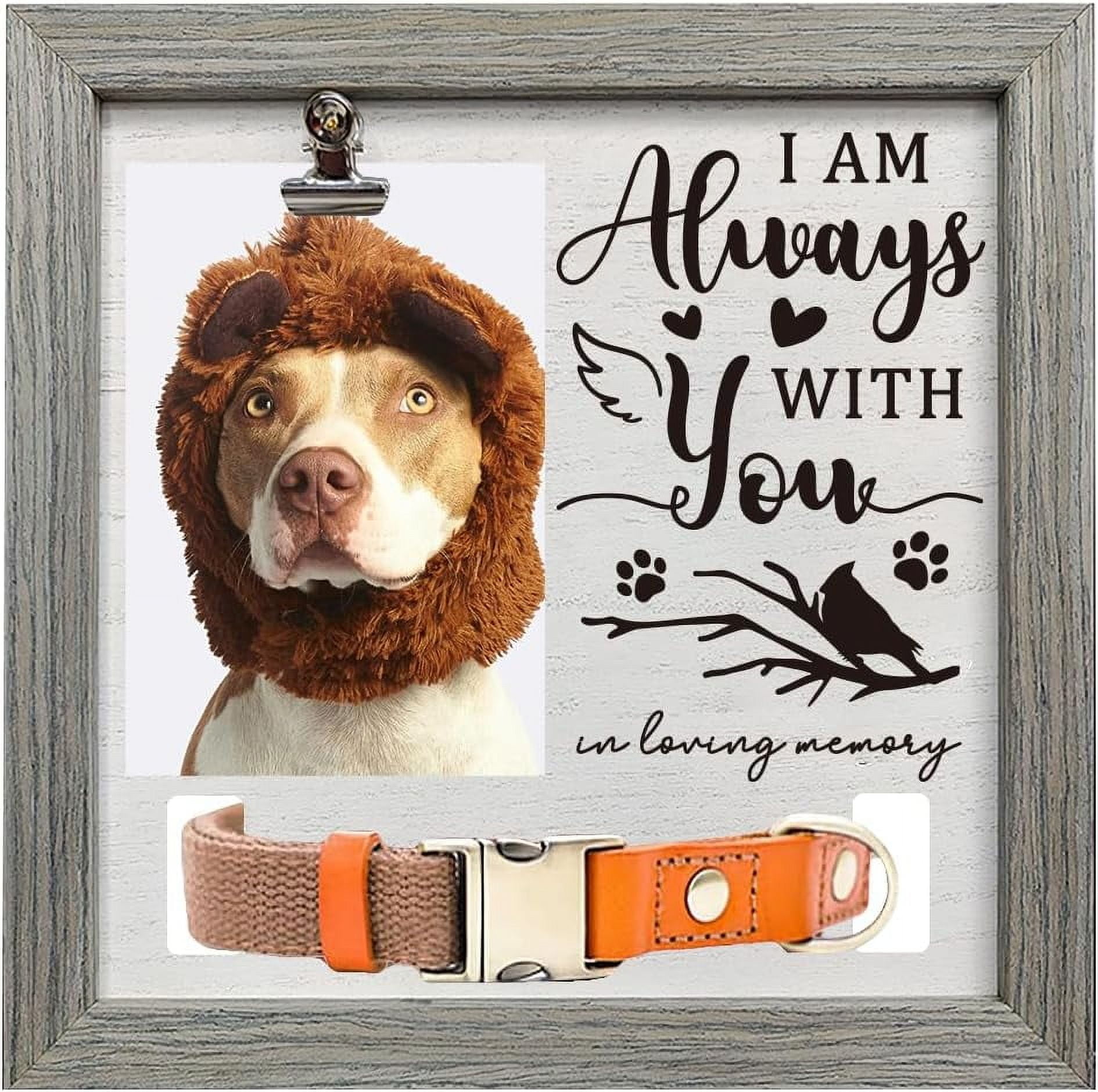 1 pc Pet Memorial Picture Frame 9x9inch I Am Always With You in Loving ...