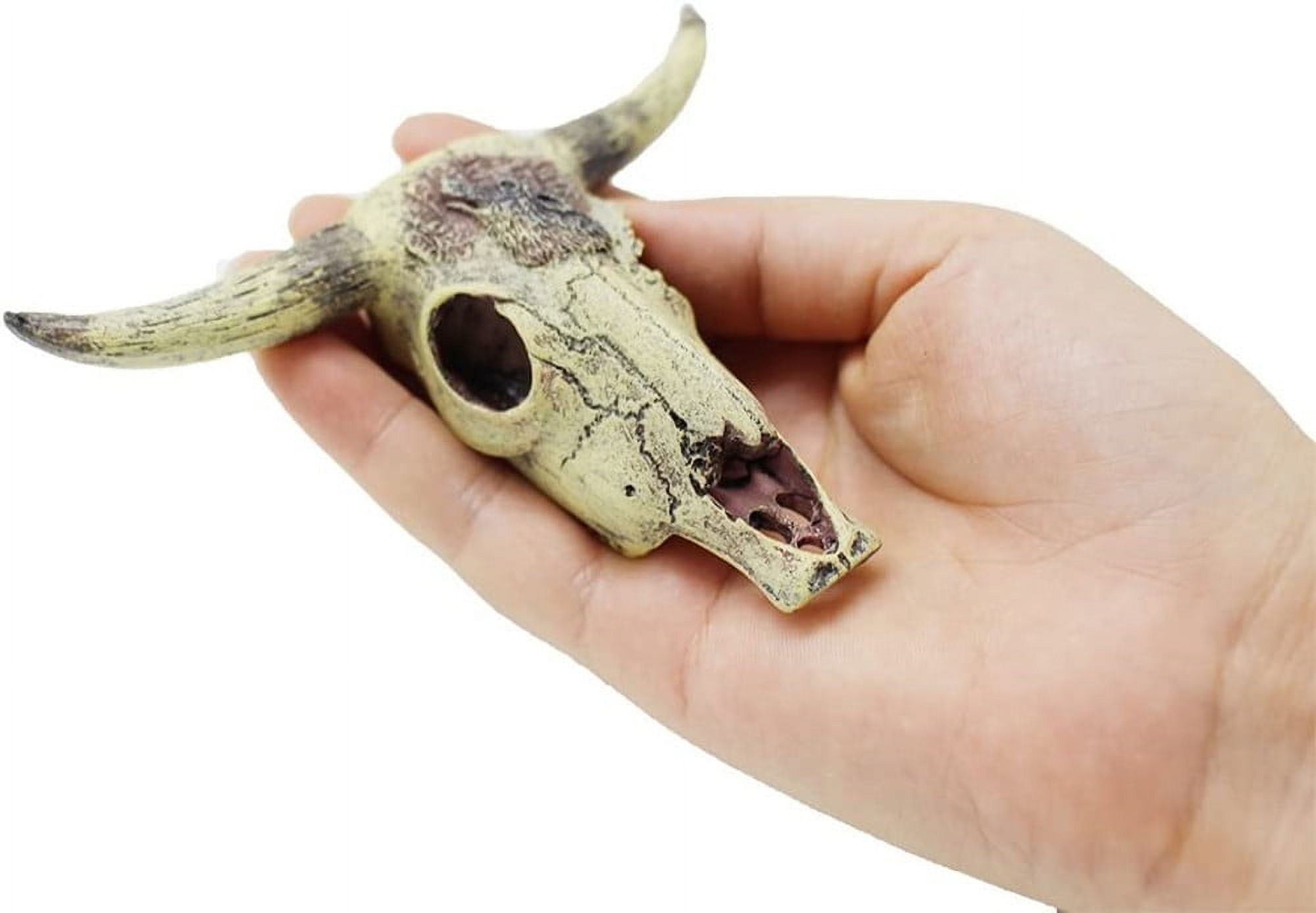 1 pcs Cattle Skull Aquarium Decor, Fish Tank Skull, Reptile House ...