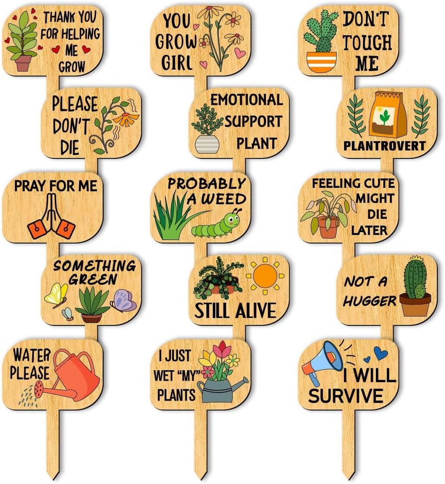 1 set 15 pcs Wood T-Type Plant Tags Illustrated Graphic Plant Sign for ...