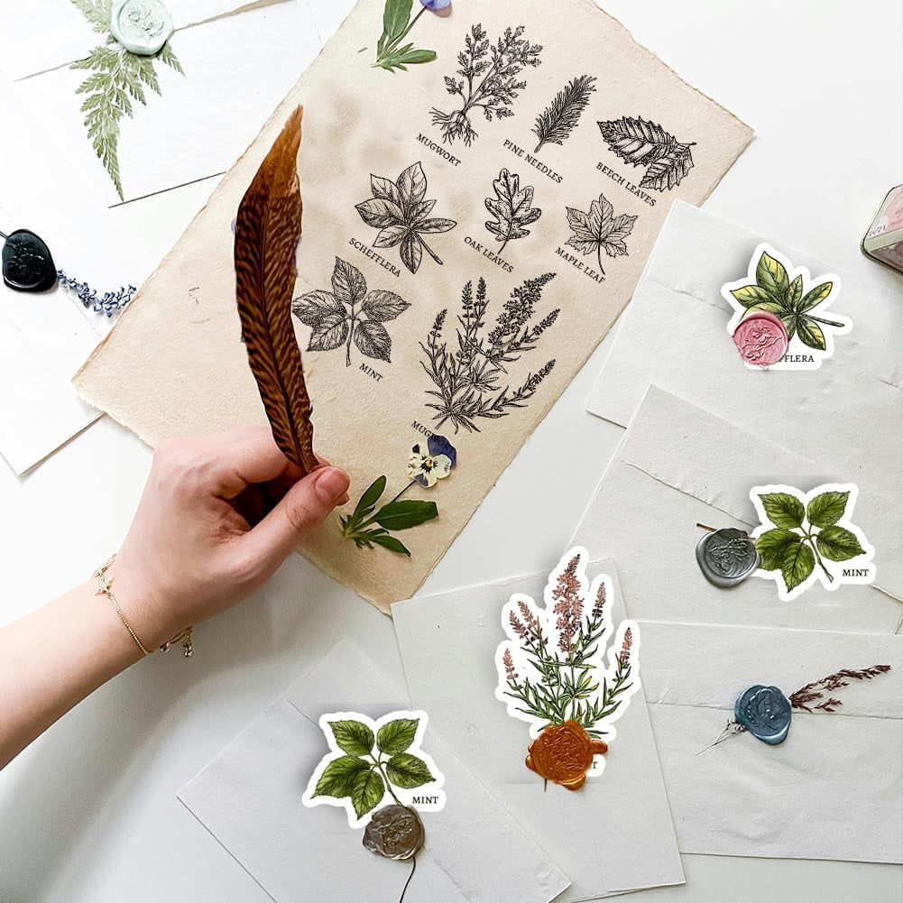 1 sheet Plants Collection Clear Stamps Realistic Plants Clear Stamps Maple Leaves Silicone ...