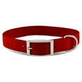 1"x20"Dog Collar Color: Red - Walmart.com