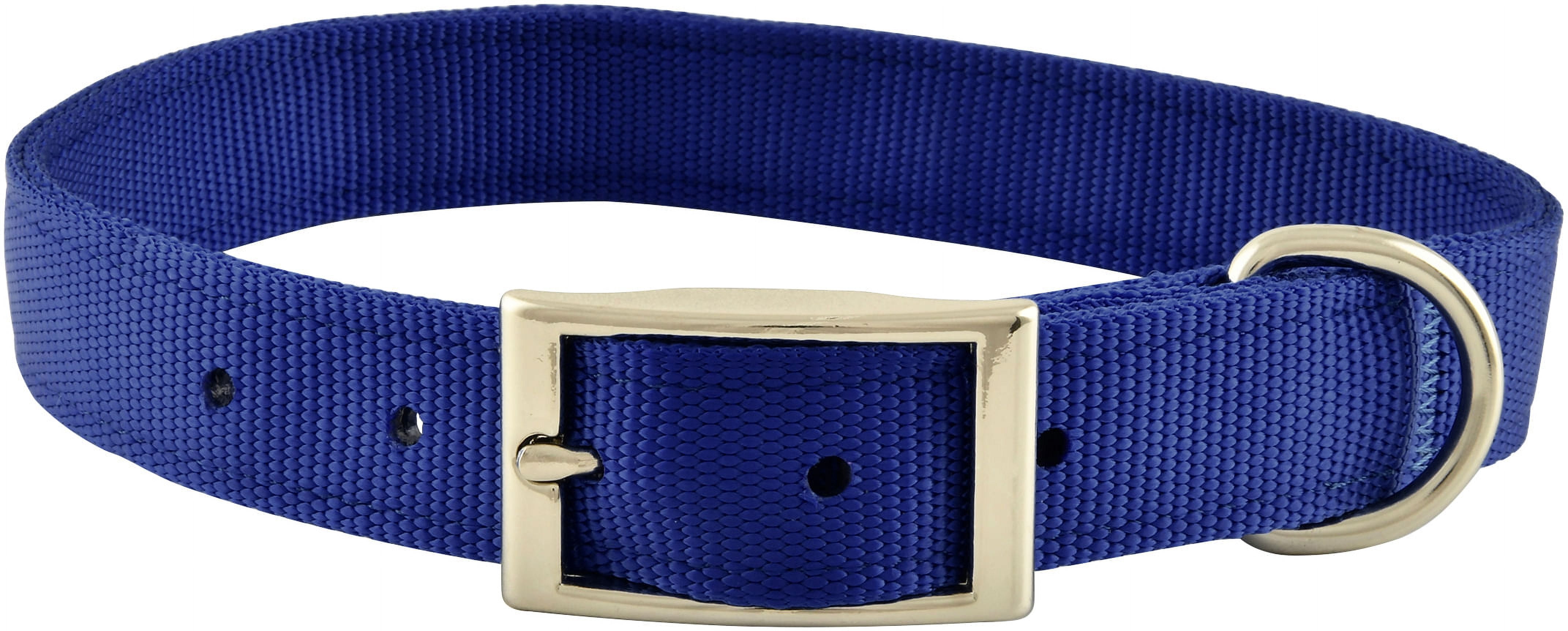 1"x22"Dog Collar Color: Royal Blue - Walmart.com