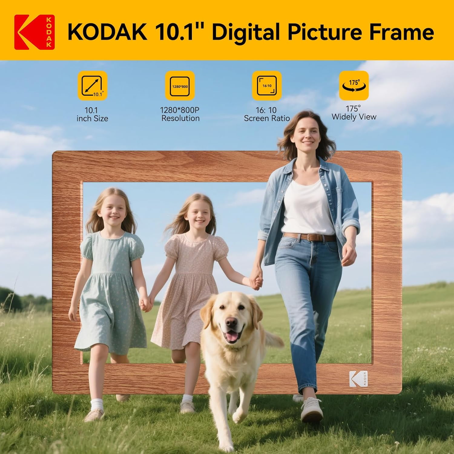 10.1 inch Digital Photo Frame, NO WiFi with Remote Control Digital ...